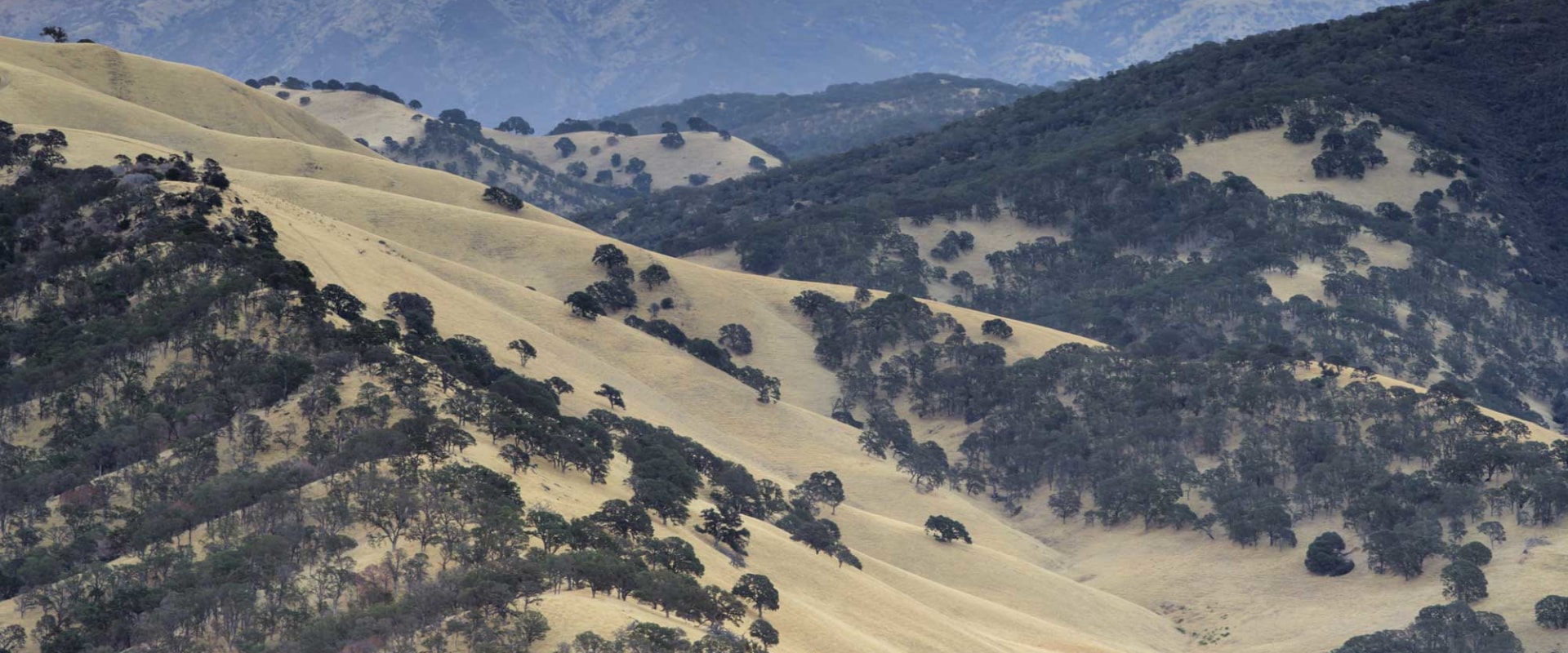 How Many Towns are in Contra Costa County?