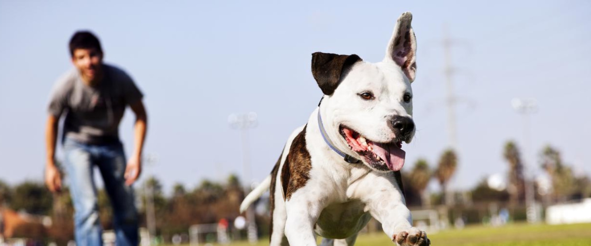 Exploring the Best Parks in Contra Costa County, CA